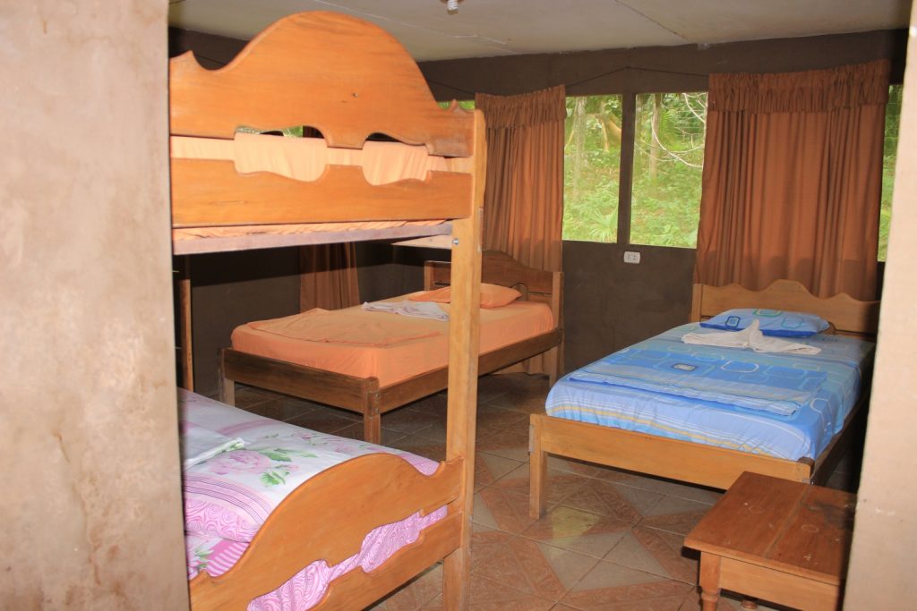 3 Days 2 Nights on Amazon Lodge - Amazon Experience - Tours in the ...