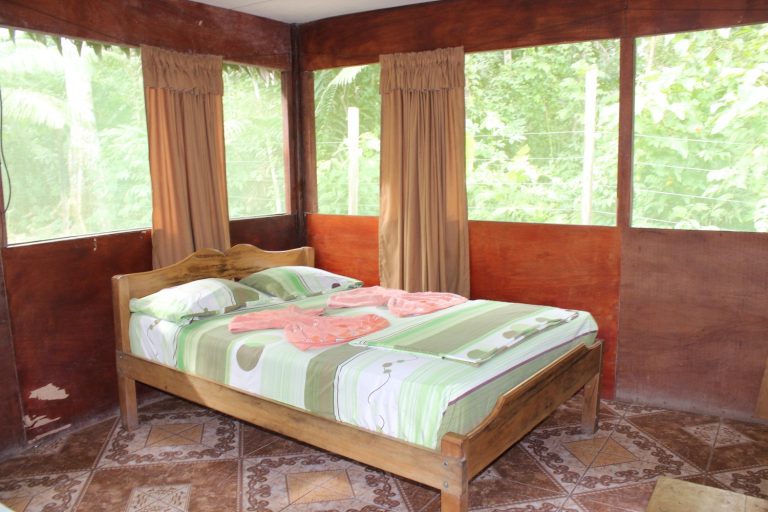3 Days 2 Nights on Amazon Lodge - Amazon Experience - Tours in the ...