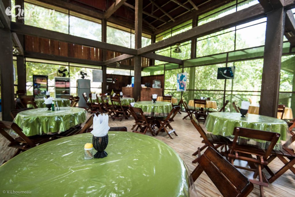 5 Days 4 Nights on Amazon Lodge - Amazon Experience - Tours in the ...