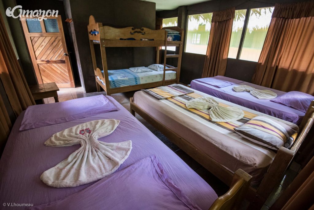 4 Days 3 Nights on Amazon Lodge - Amazon Experience - Tours in the ...